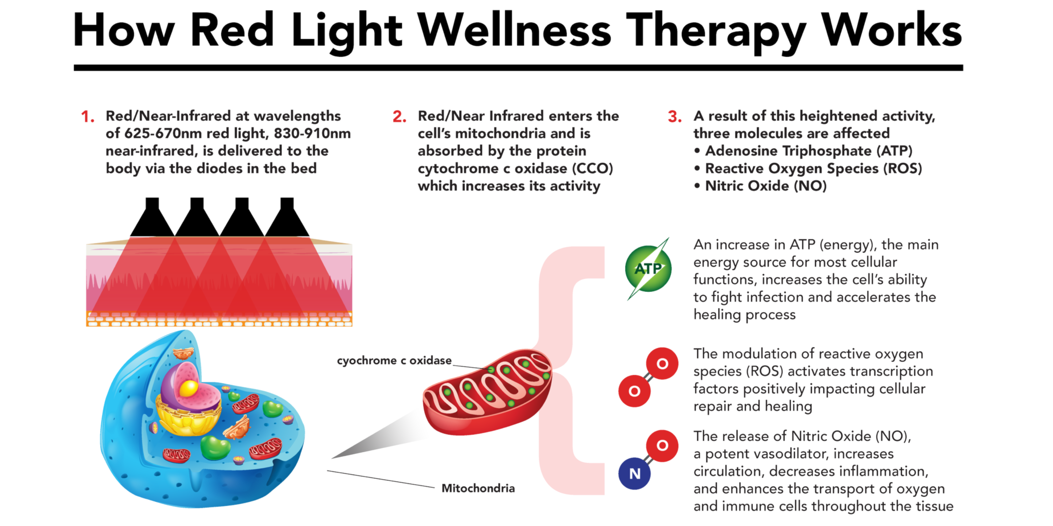 REDLIGHT THERAPY - New Seasons Spa & Salon